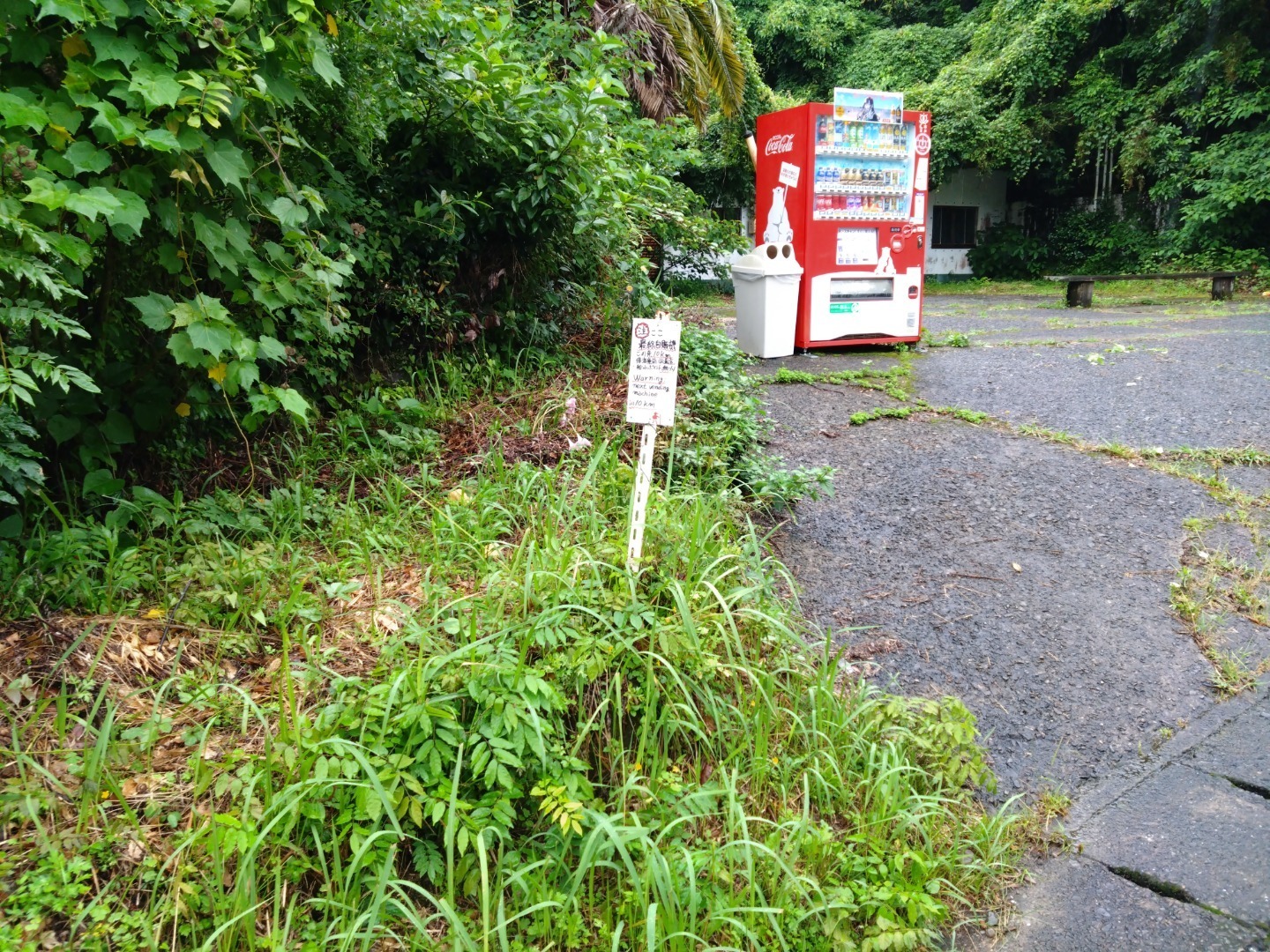 歩きへんろ13日目海部から夫婦岩手前: 南葛八十八ヶ所19番